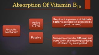 Megaloblastic Anemia | PPTX
