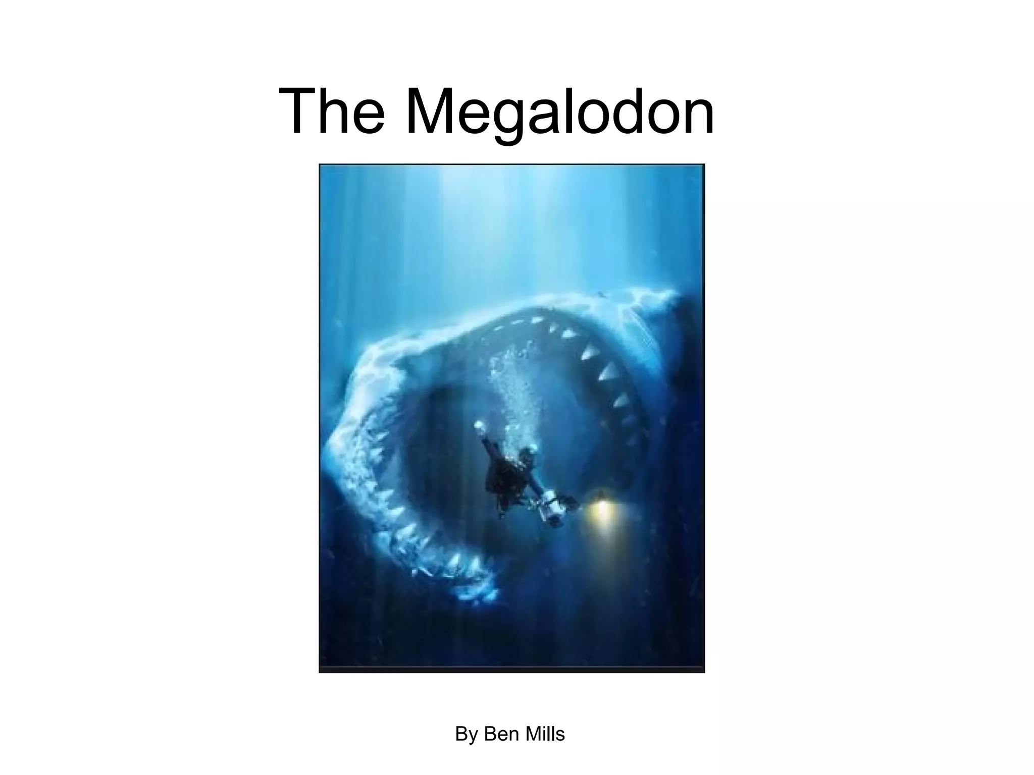 Megalodon | PPT