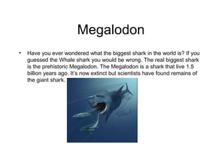 Megalodon | PPT