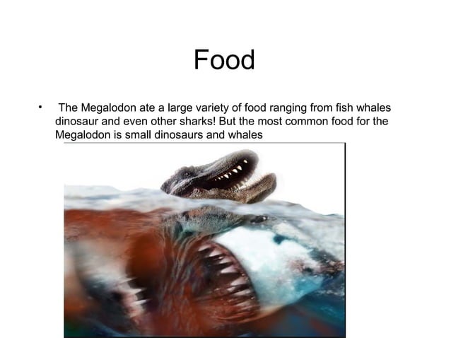 Megalodon | PPT | Large Animals | Pets