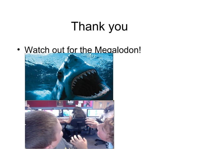 Megalodon | PPT | Large Animals | Pets