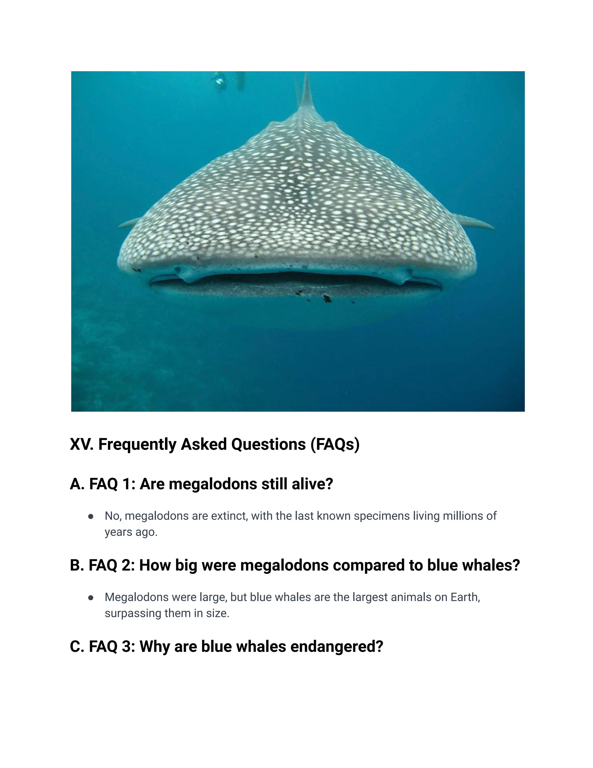 Megalodon Compared to Blue Whale: physical, historical comparison.pdf