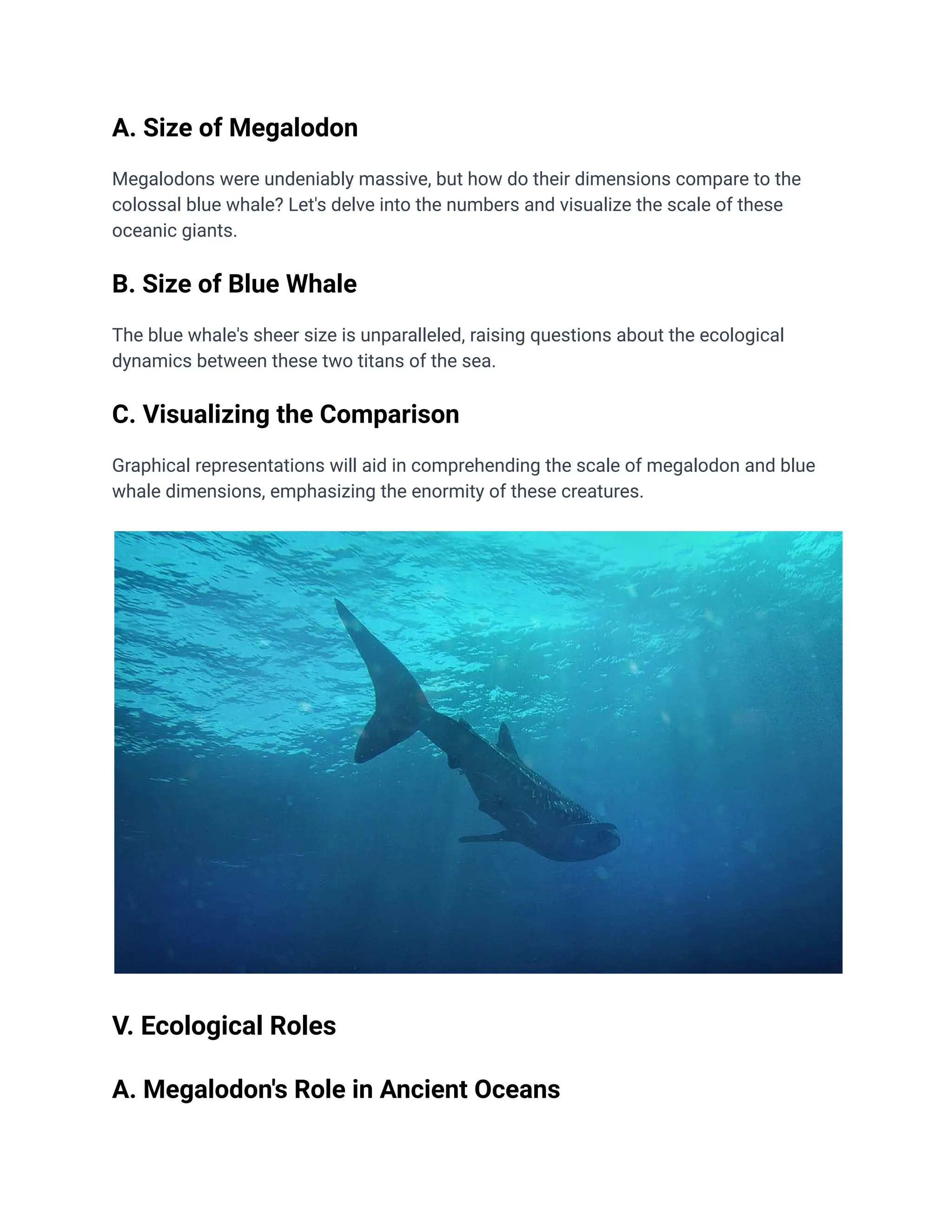 Megalodon Compared to Blue Whale: physical, historical comparison.pdf