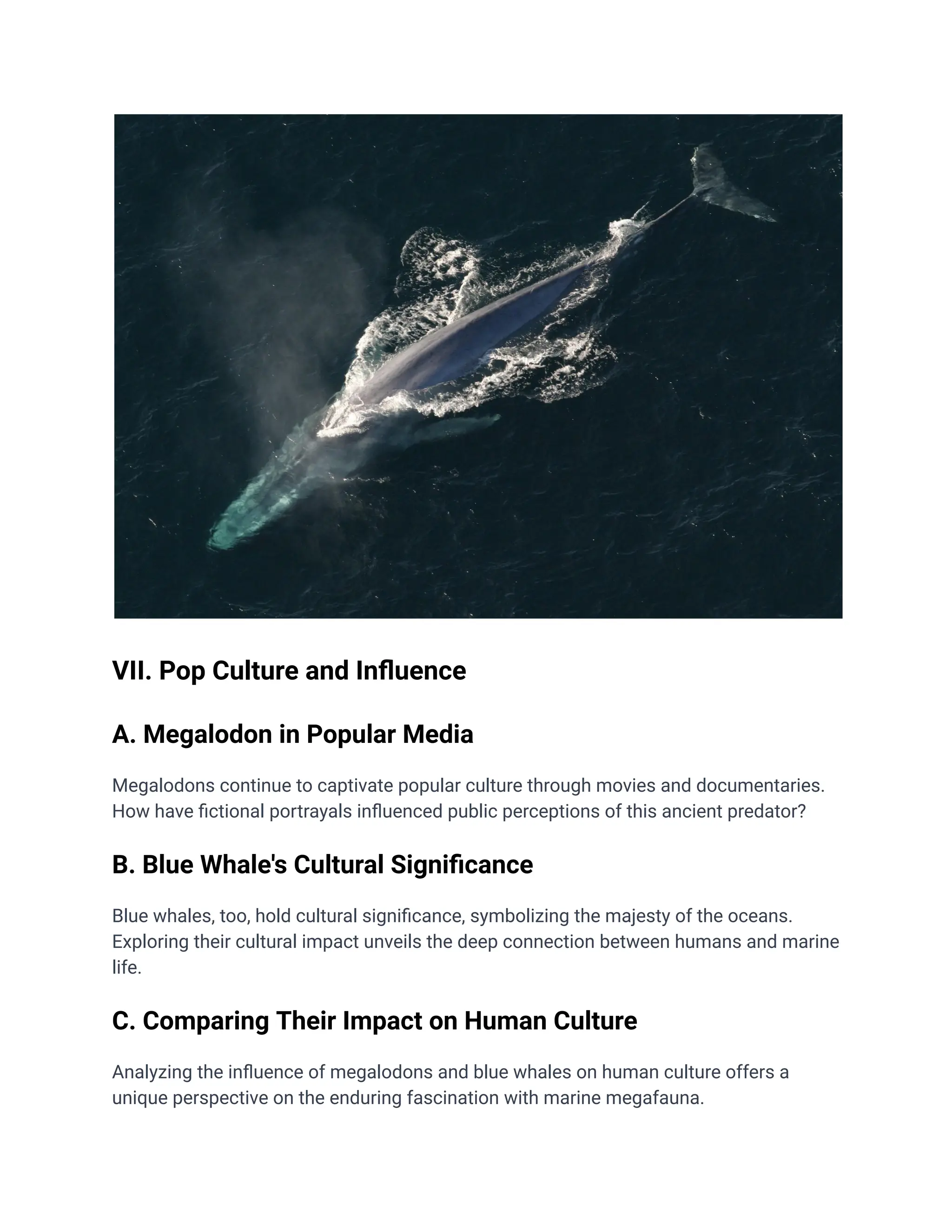 Megalodon Compared to Blue Whale: physical, historical comparison.pdf