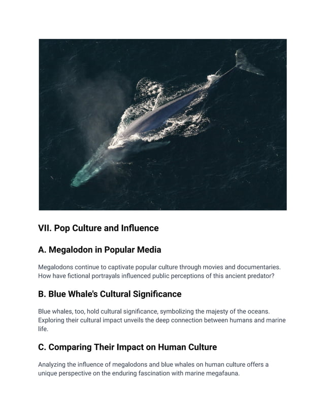 Megalodon Compared to Blue Whale: physical, historical comparison.pdf