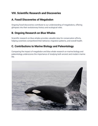 Megalodon Compared to Blue Whale: physical, historical comparison.pdf