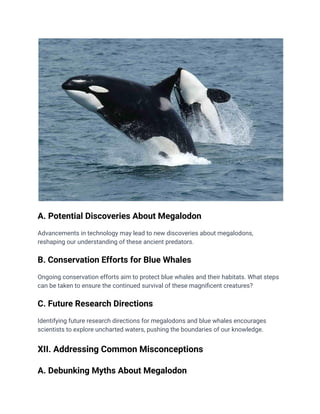 Megalodon Compared to Blue Whale: physical, historical comparison.pdf