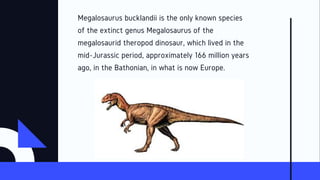 Megalosaurus | PPT