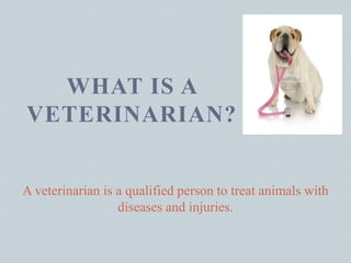 Megan "Being a Veterinarian" | PPTX