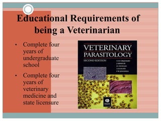 Megan "Being a Veterinarian" | PPT