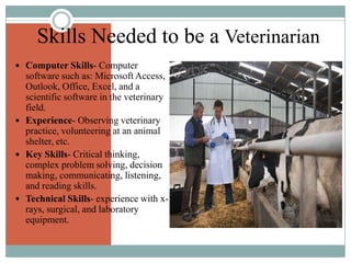 Megan "Being a Veterinarian" | PPT