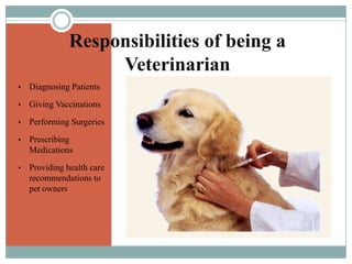 Megan "Being a Veterinarian" | PPT