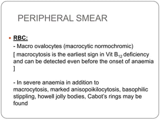 Vitamin B12 Deficiency Anemia Smear