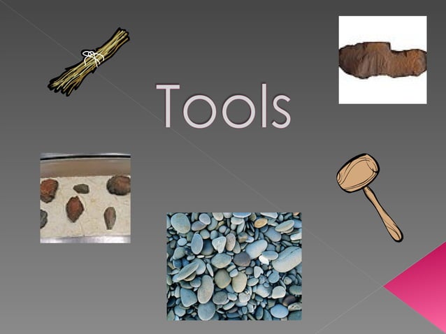 Megan early man tools | PPT