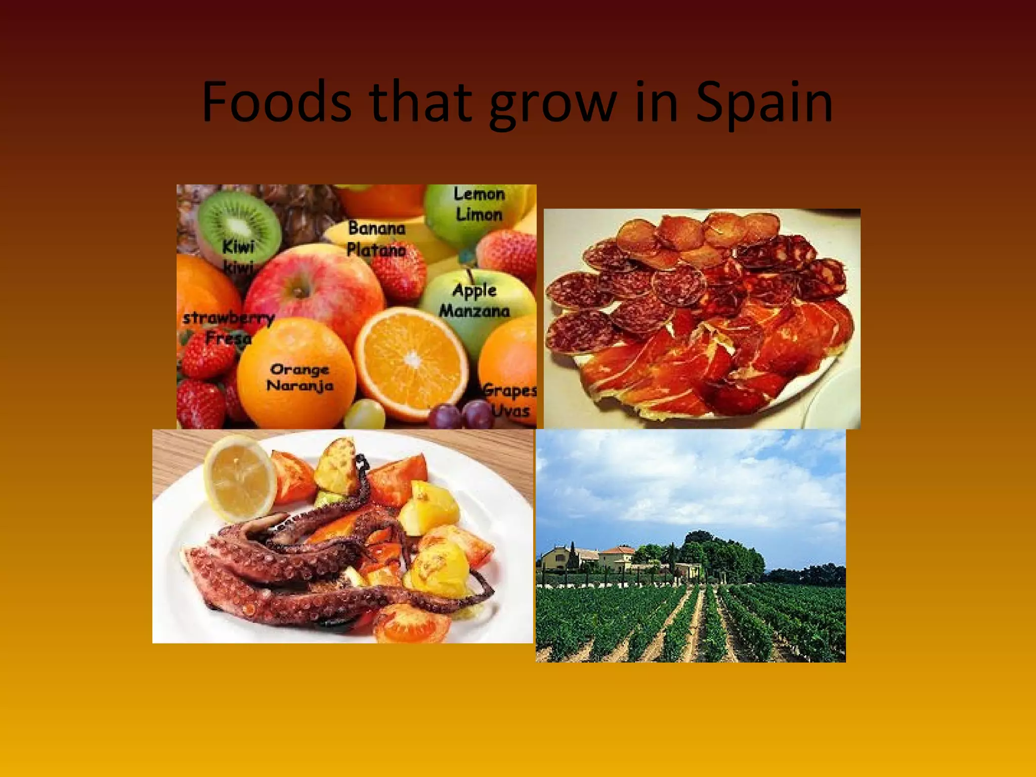 Megans spanish food power point | PPT