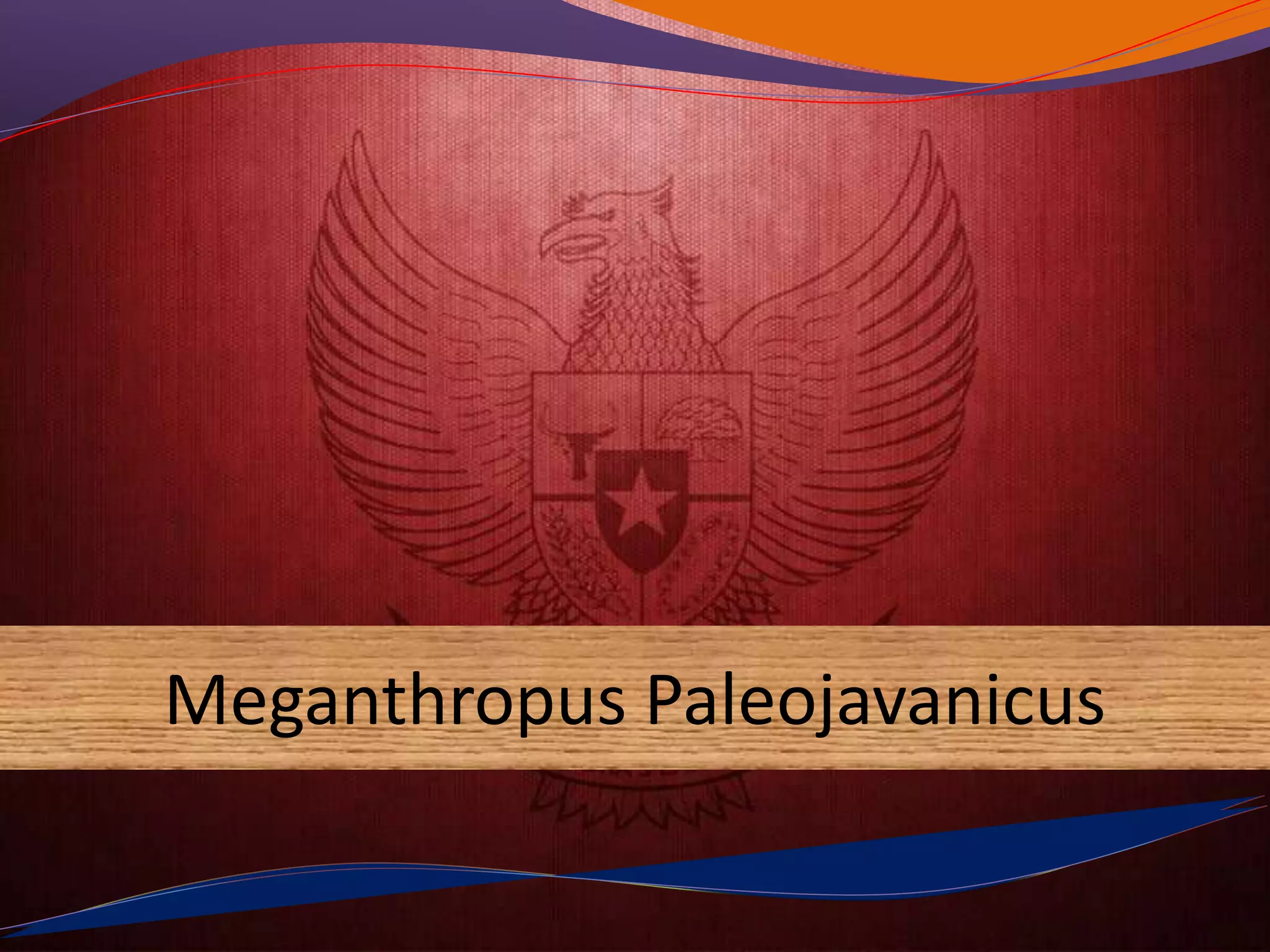 Meganthropus paleojavanicus | PPTX