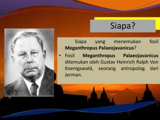 Meganthropus paleojavanicus | PPTX