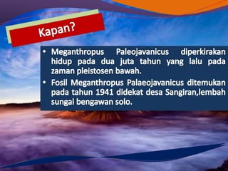 Meganthropus paleojavanicus | PPTX