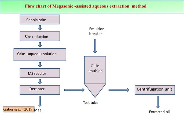 Megasonics processing ppt | PPT
