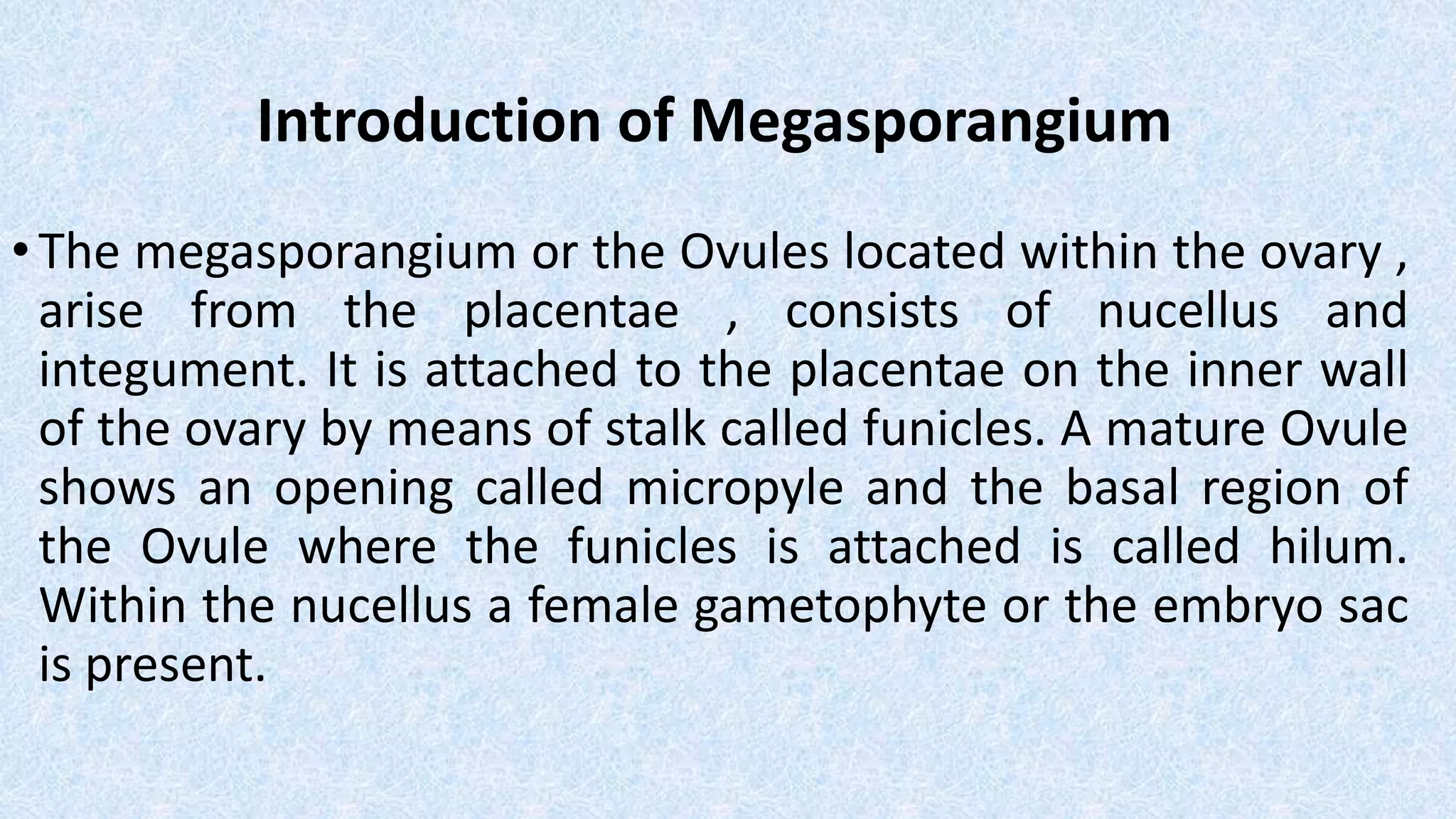 Megasporangium | PPTX
