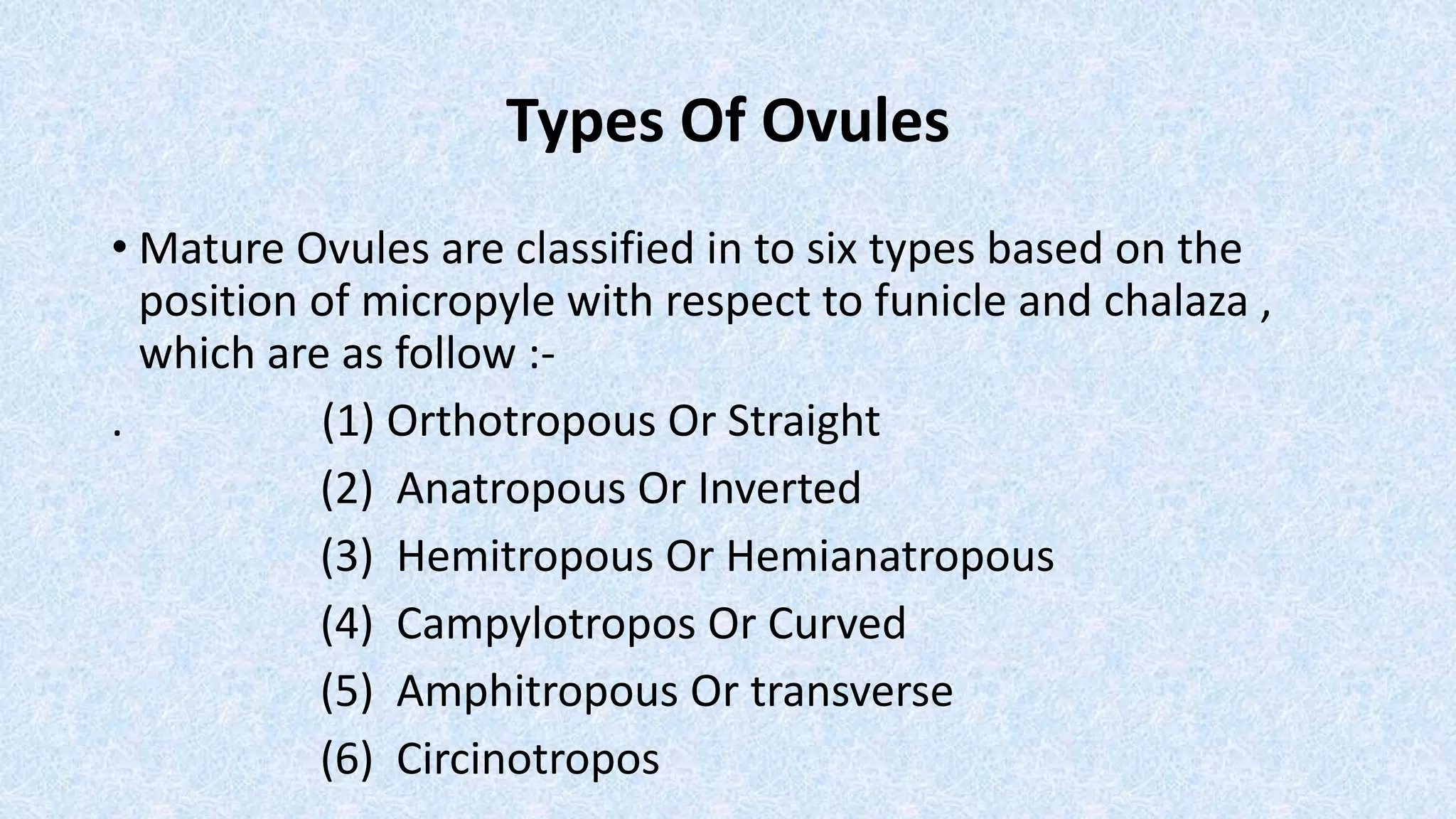 Megasporangium | PPTX