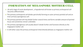 Megasporogenesis and megagametogenesis bsc 2nd sem botany......pdf