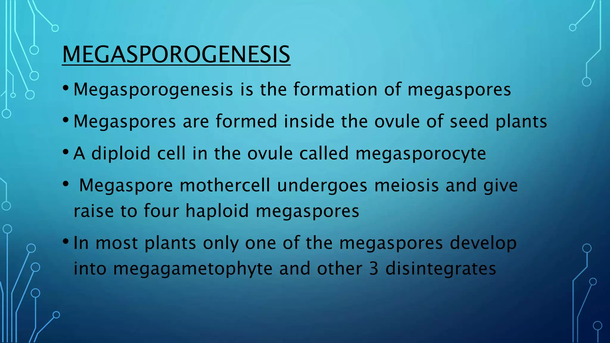 Megasporogenesis | PPSX