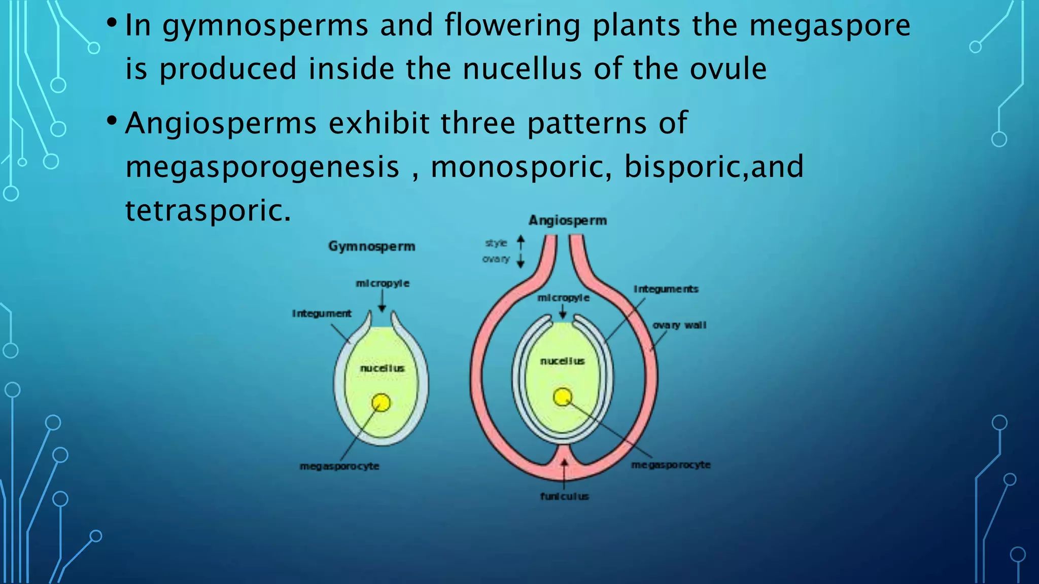 Megasporogenesis | PPSX