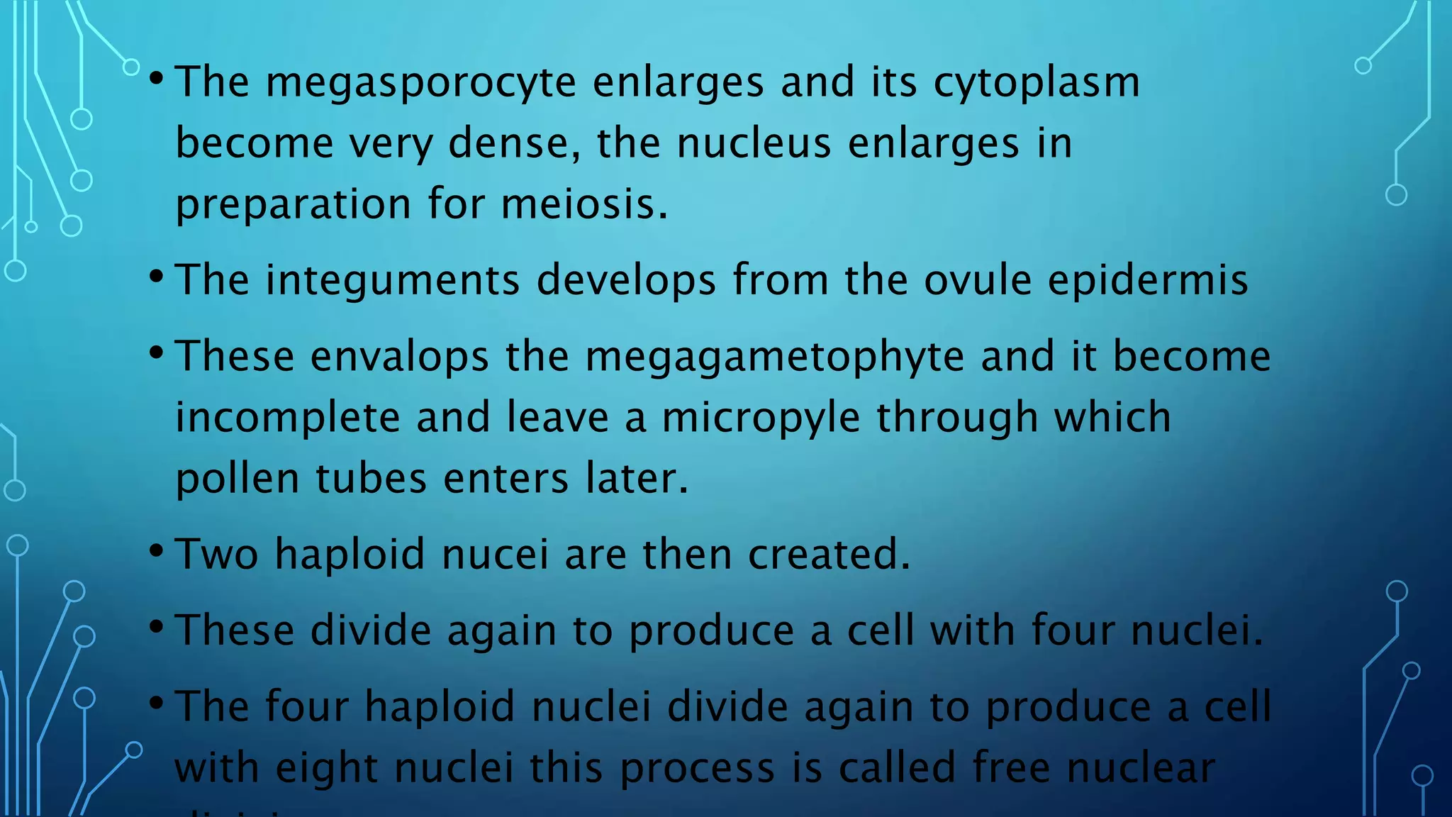 Megasporogenesis | PPSX