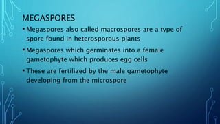 Megasporogenesis | PPSX