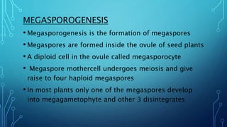 Megasporogenesis | PPSX