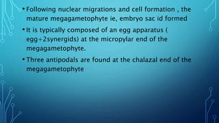 Megasporogenesis | PPSX