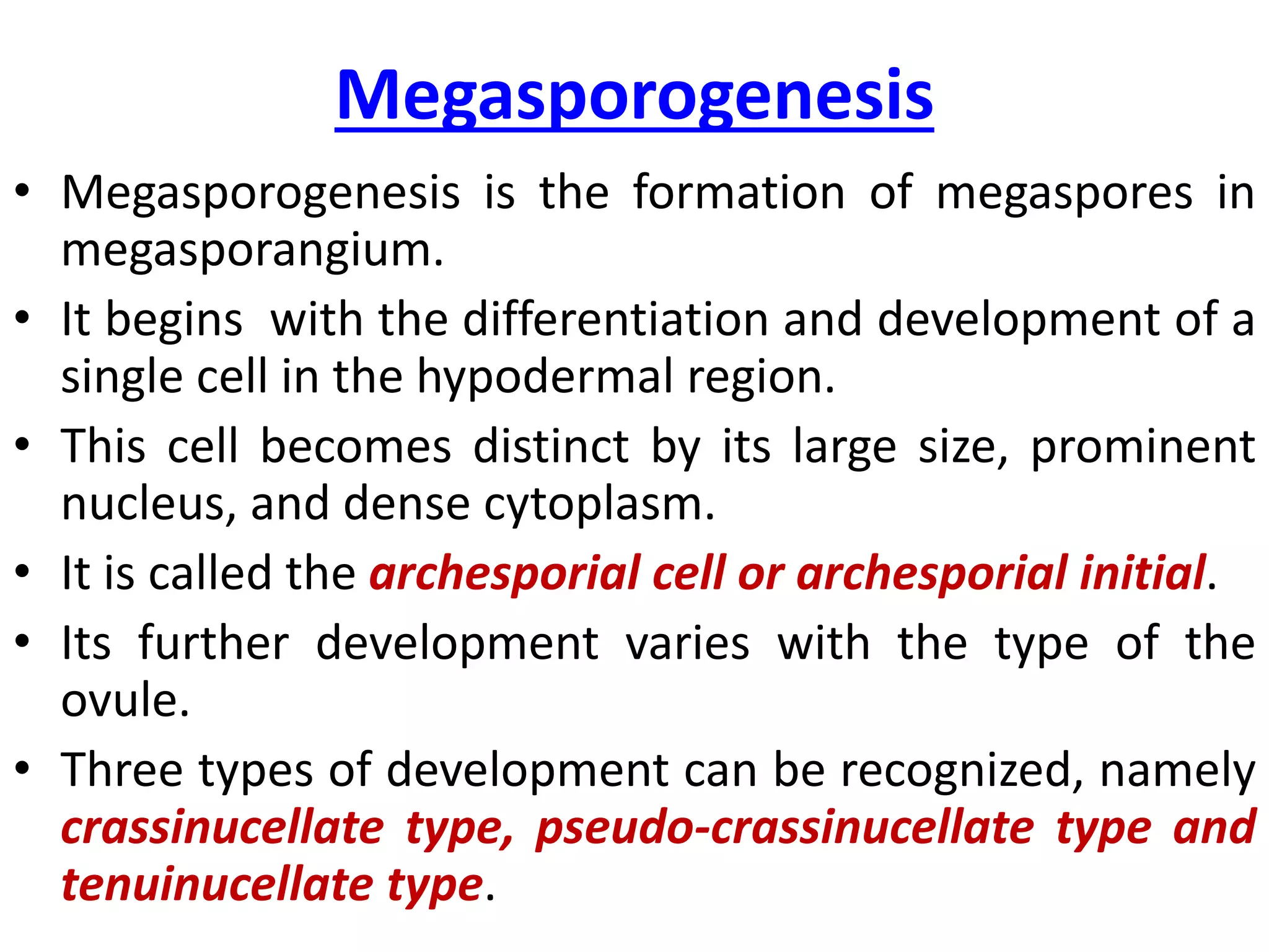 Megasporogenesis | PPTX