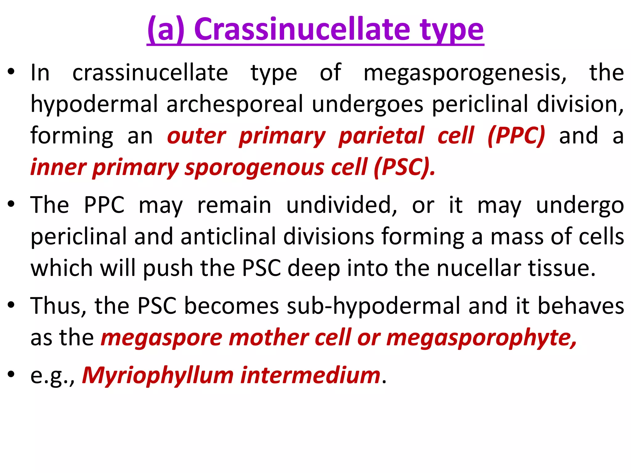 Megasporogenesis | PPTX
