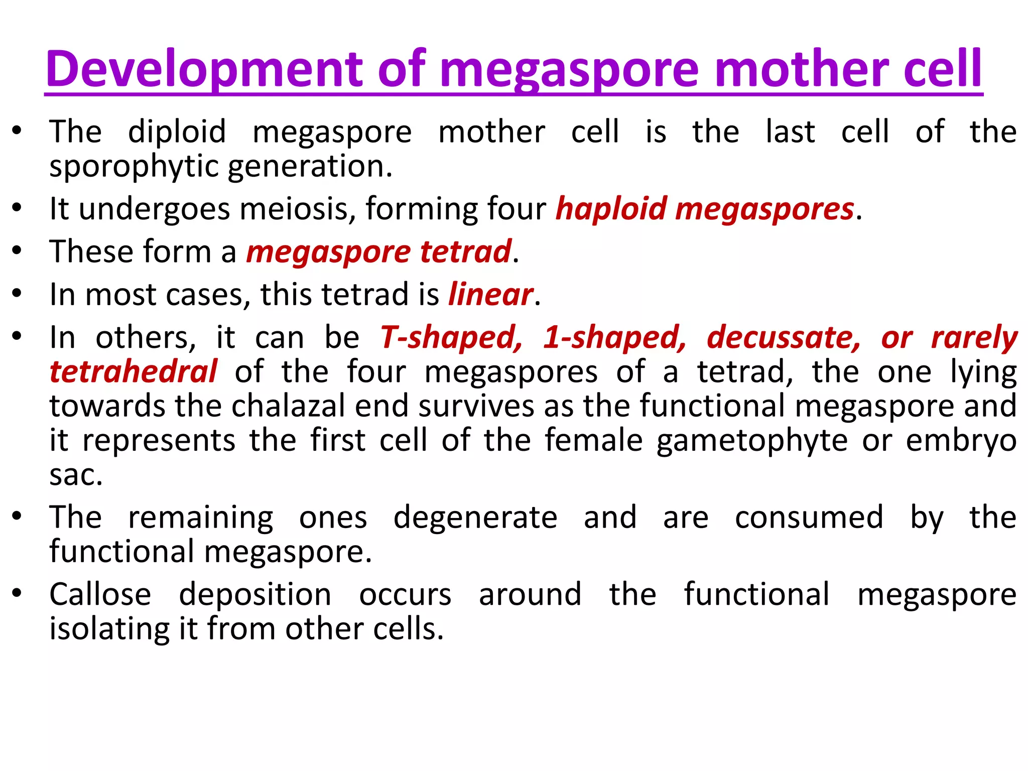 Megasporogenesis | PPTX