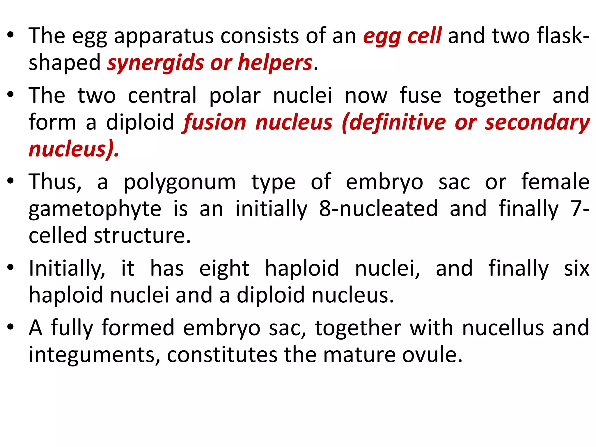 Megasporogenesis | PPTX