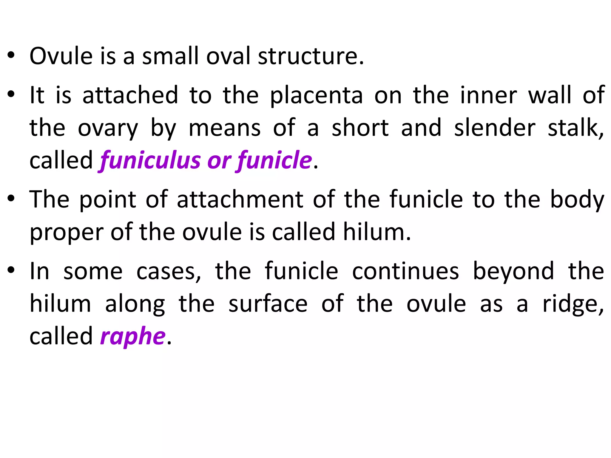 Megasporogenesis | PPTX