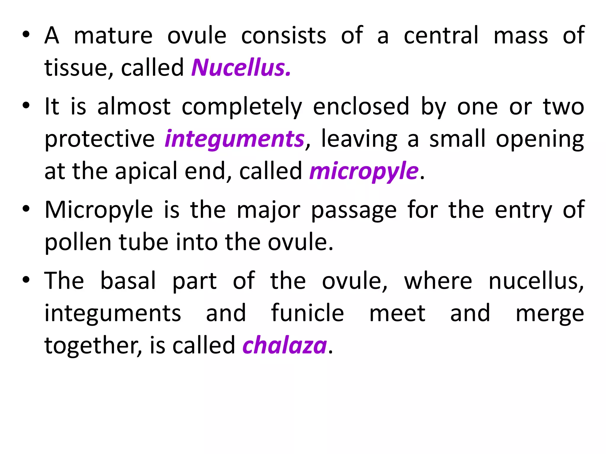 Megasporogenesis | PPTX
