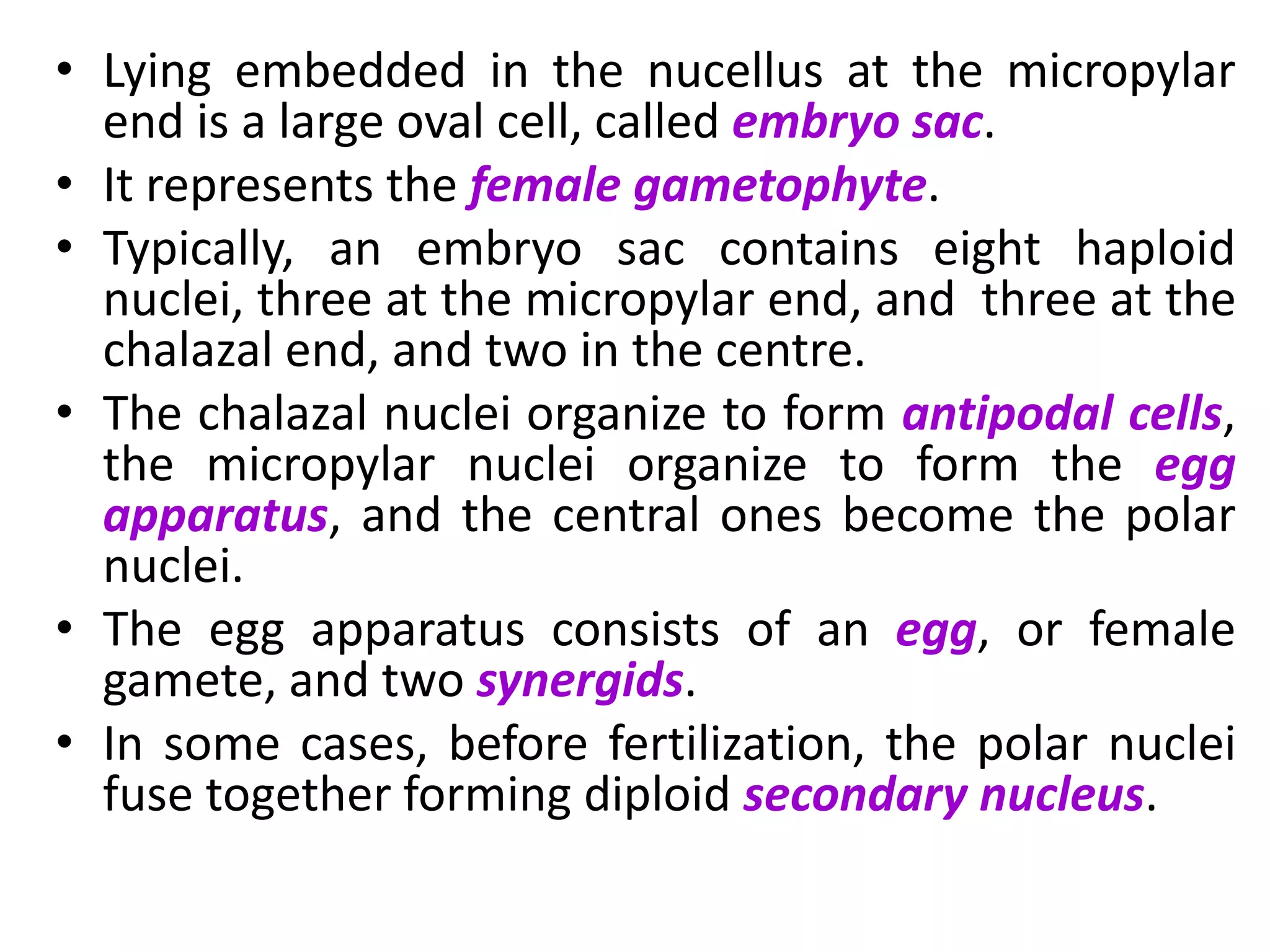 Megasporogenesis | PPTX