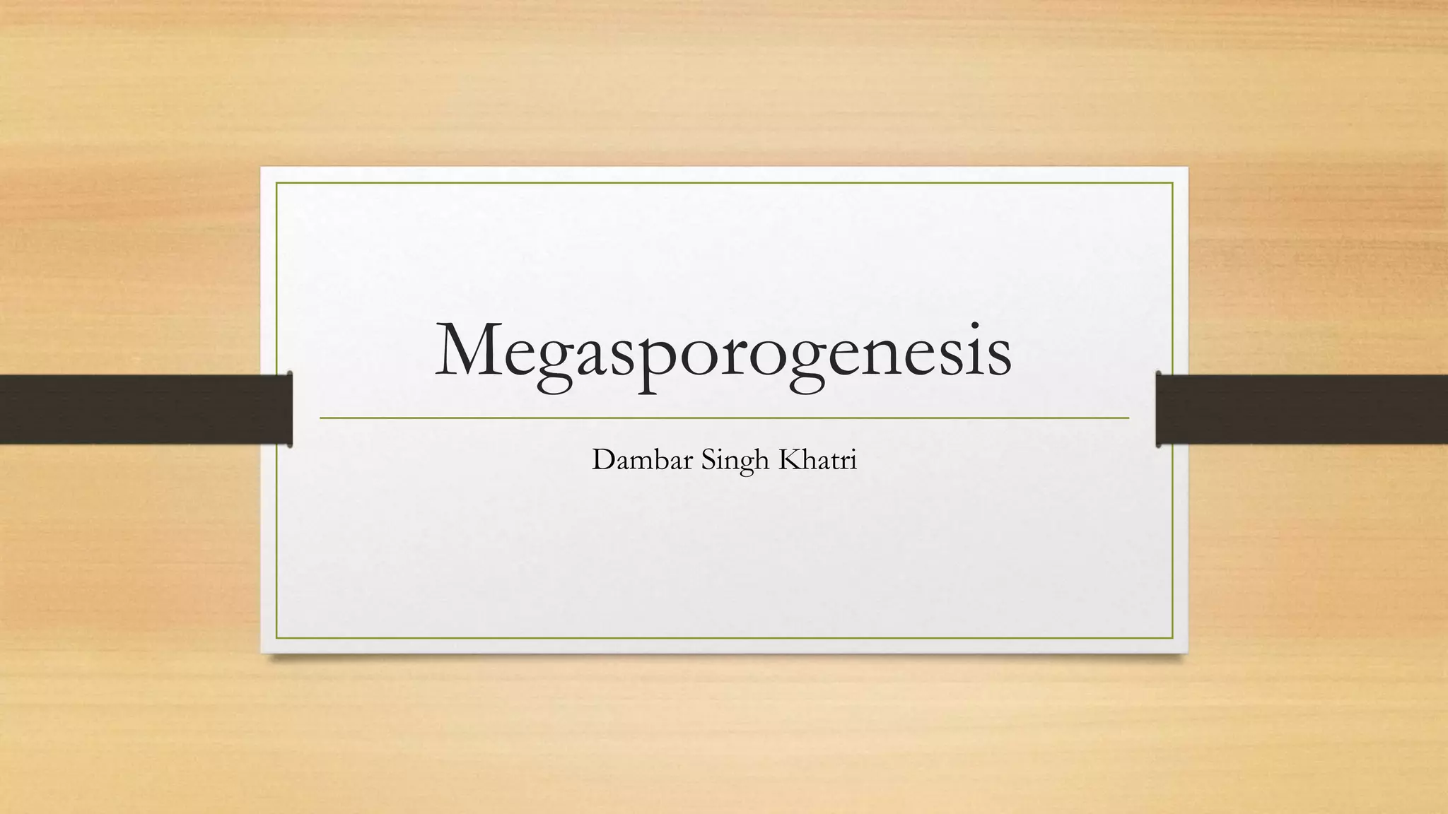 Megasporogenesis/class 12 biology | PPTX