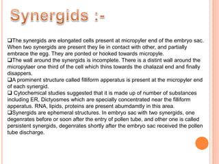 Megasporogenesis | PPTX