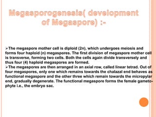 Megasporogenesis | PPTX