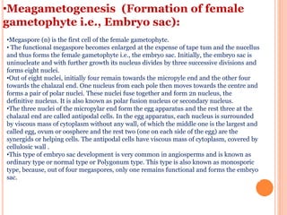 Megasporogenesis | PPTX