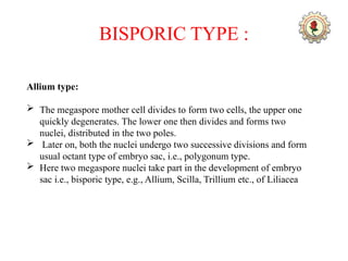 this is a topic of megasporogensis the bsc nursing | PPTX