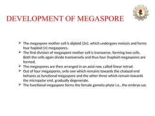 this is a topic of megasporogensis the bsc nursing | PPTX