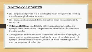 Megasporogenesis by Anurag yadav | PPTX