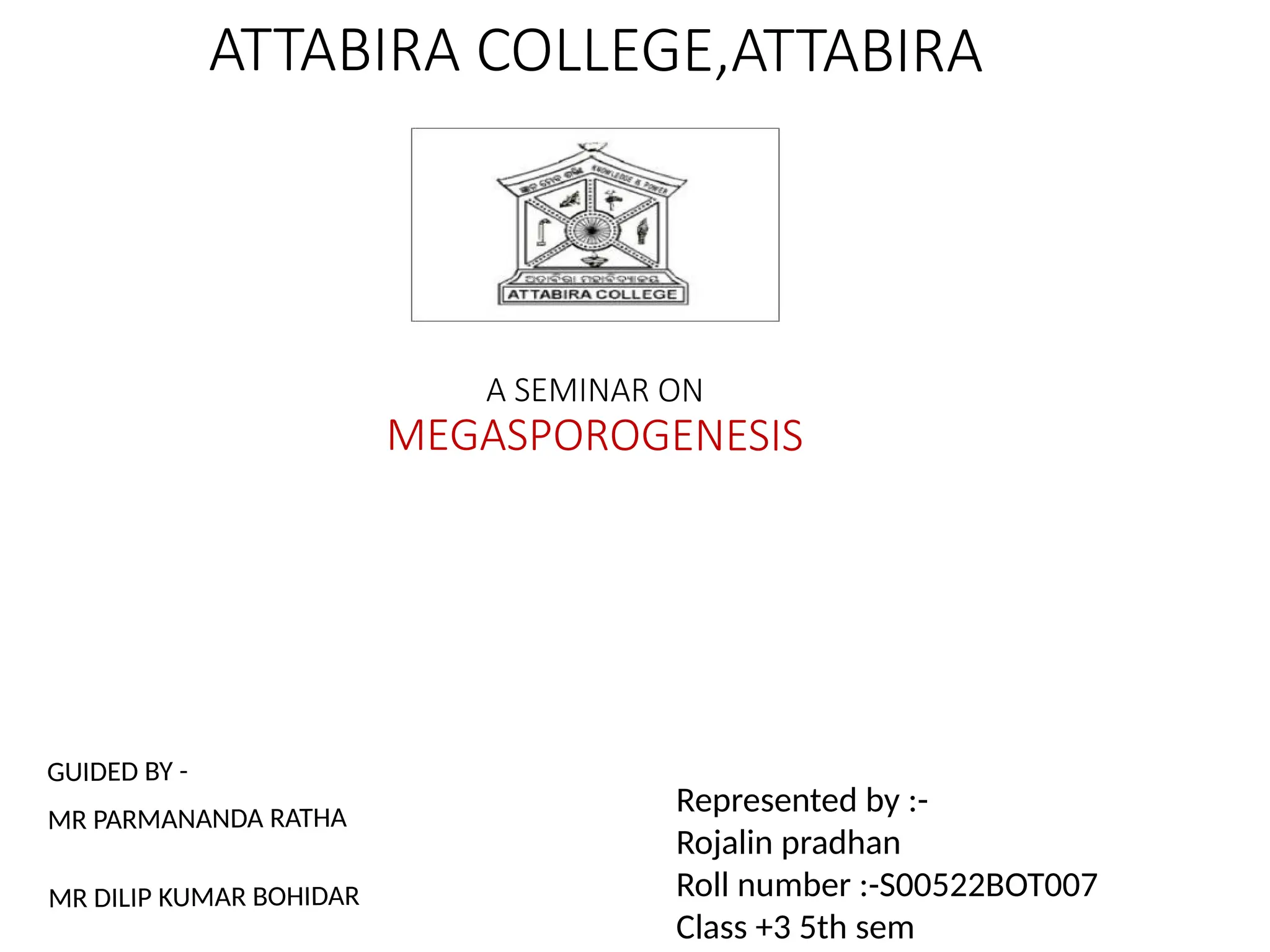 megasporo genesis by rojalin pradhan -WPS Office-1.pptx