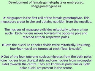 megasporo genesis by rojalin pradhan -WPS Office-1.pptx