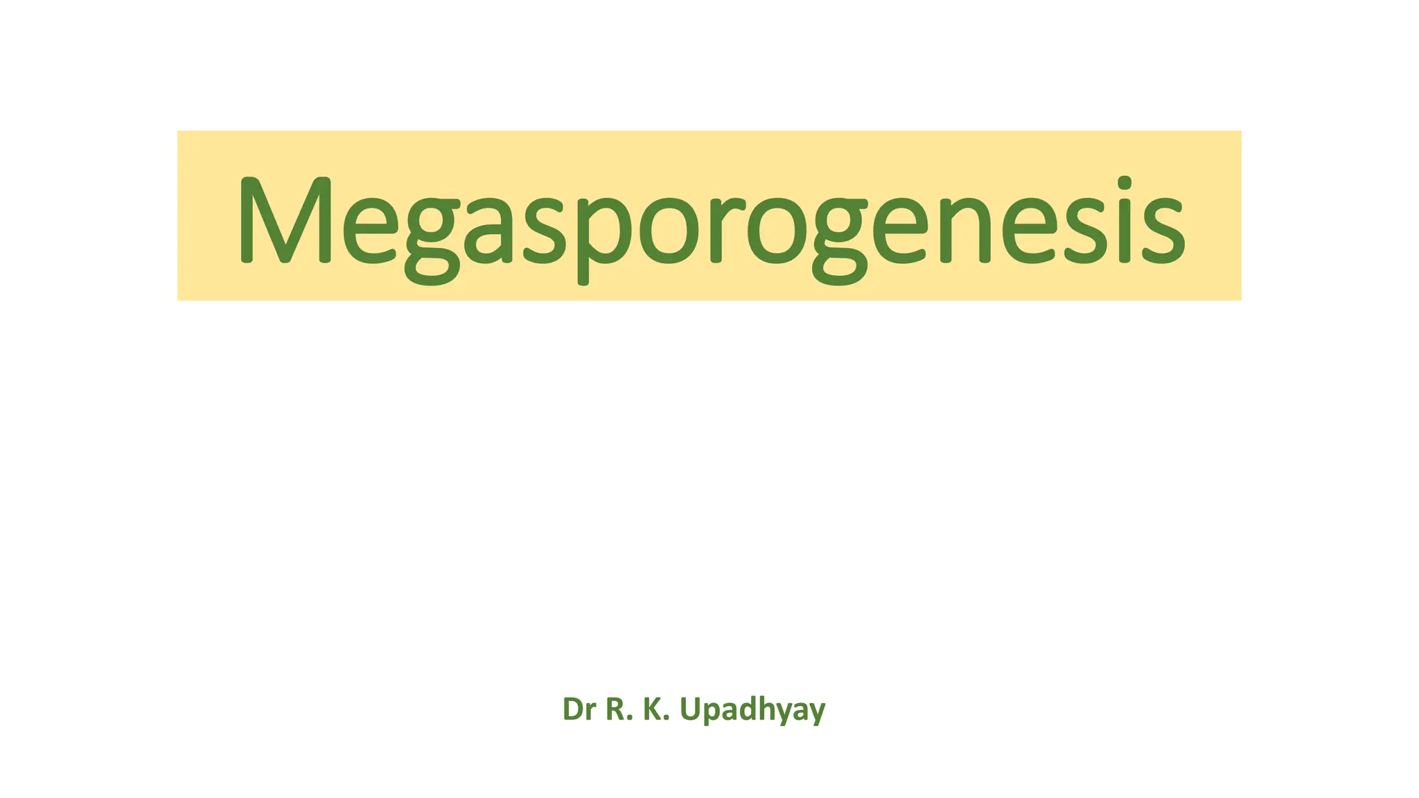 Megasporogenesis.pptx. class xii biology | PPTX