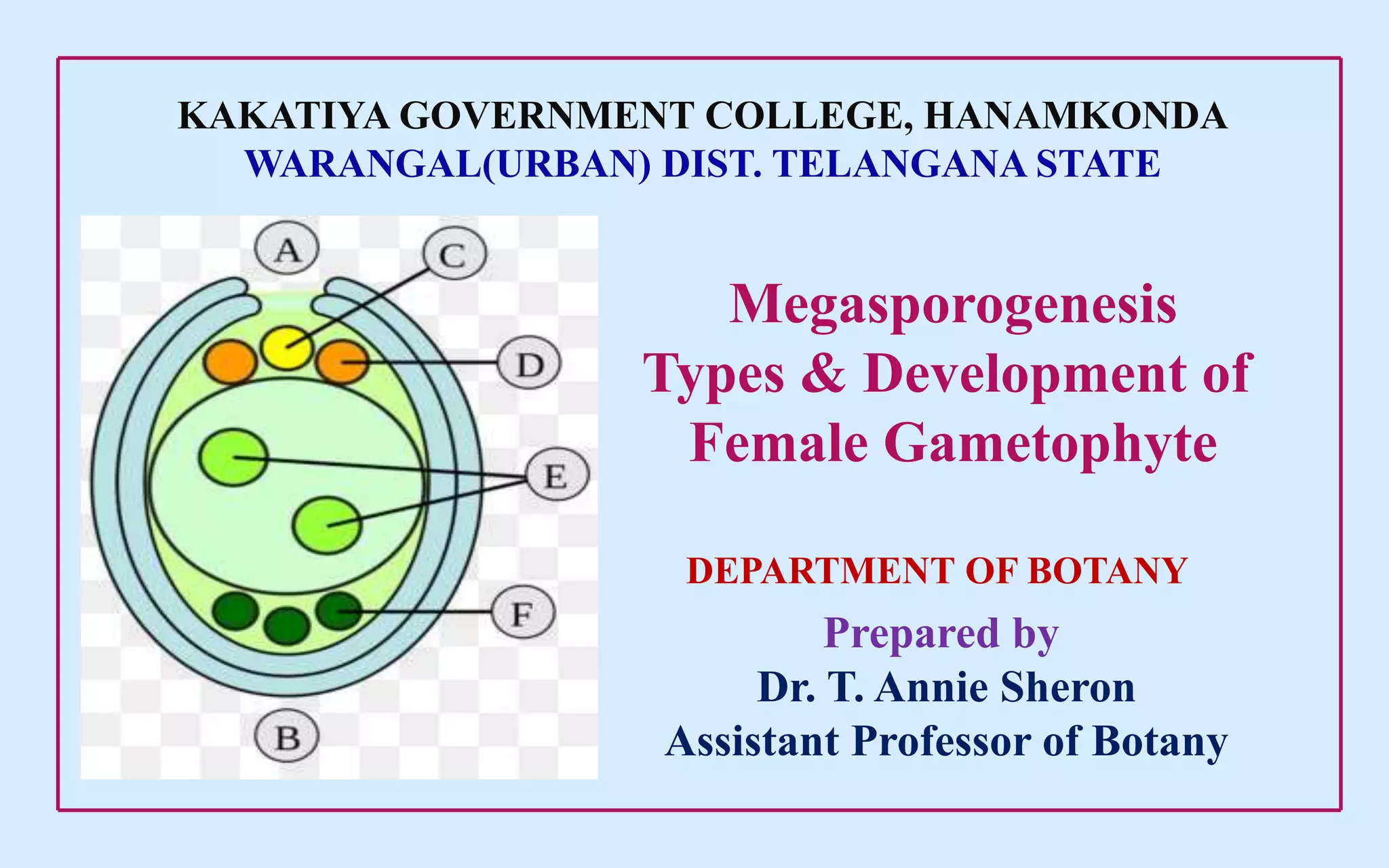 Megasporogenesis types and development of female gametophyte | PPTX